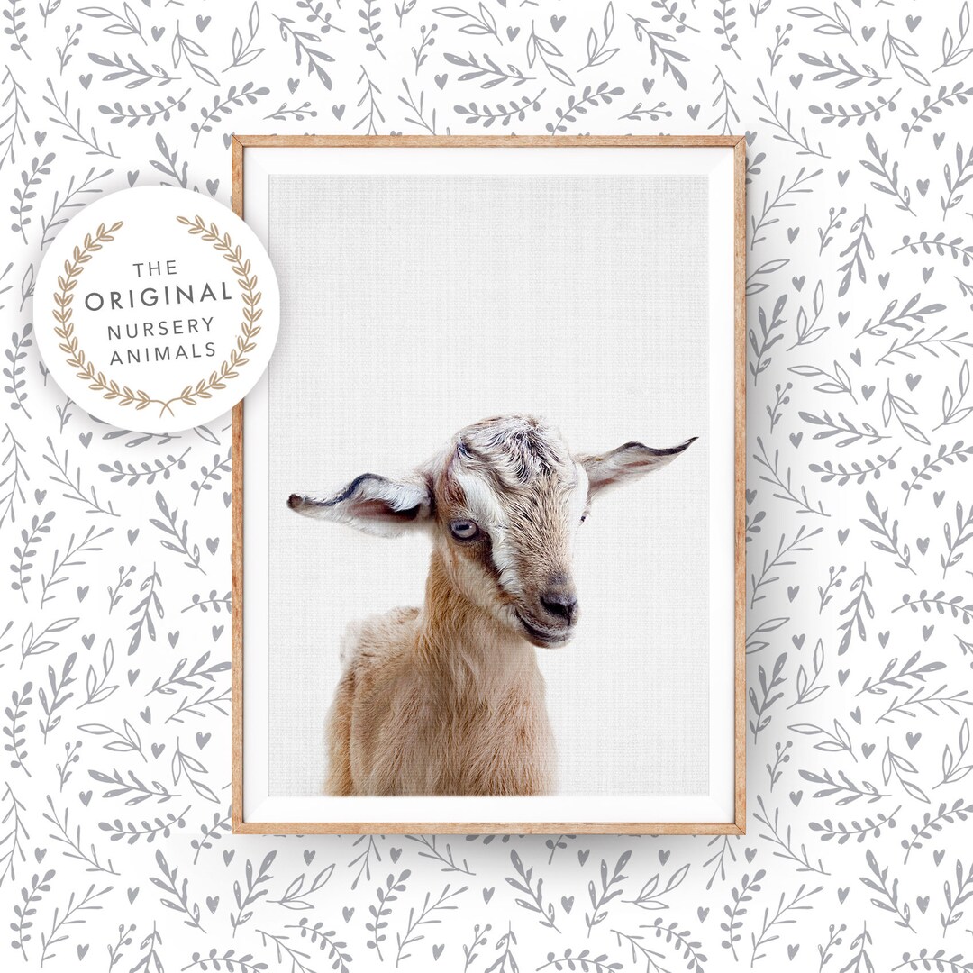 Baby Goat Wall Art Print ~ Printable Farm Animal for Nursery ~ Instant ...