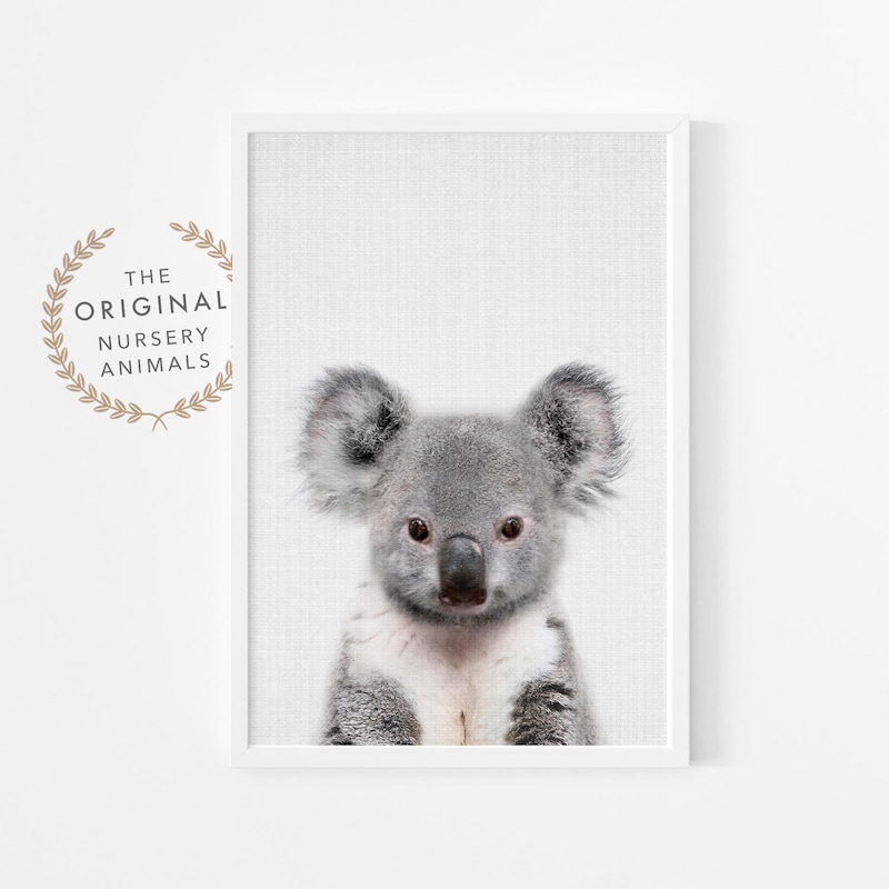 Koala Print - Etsy Australia