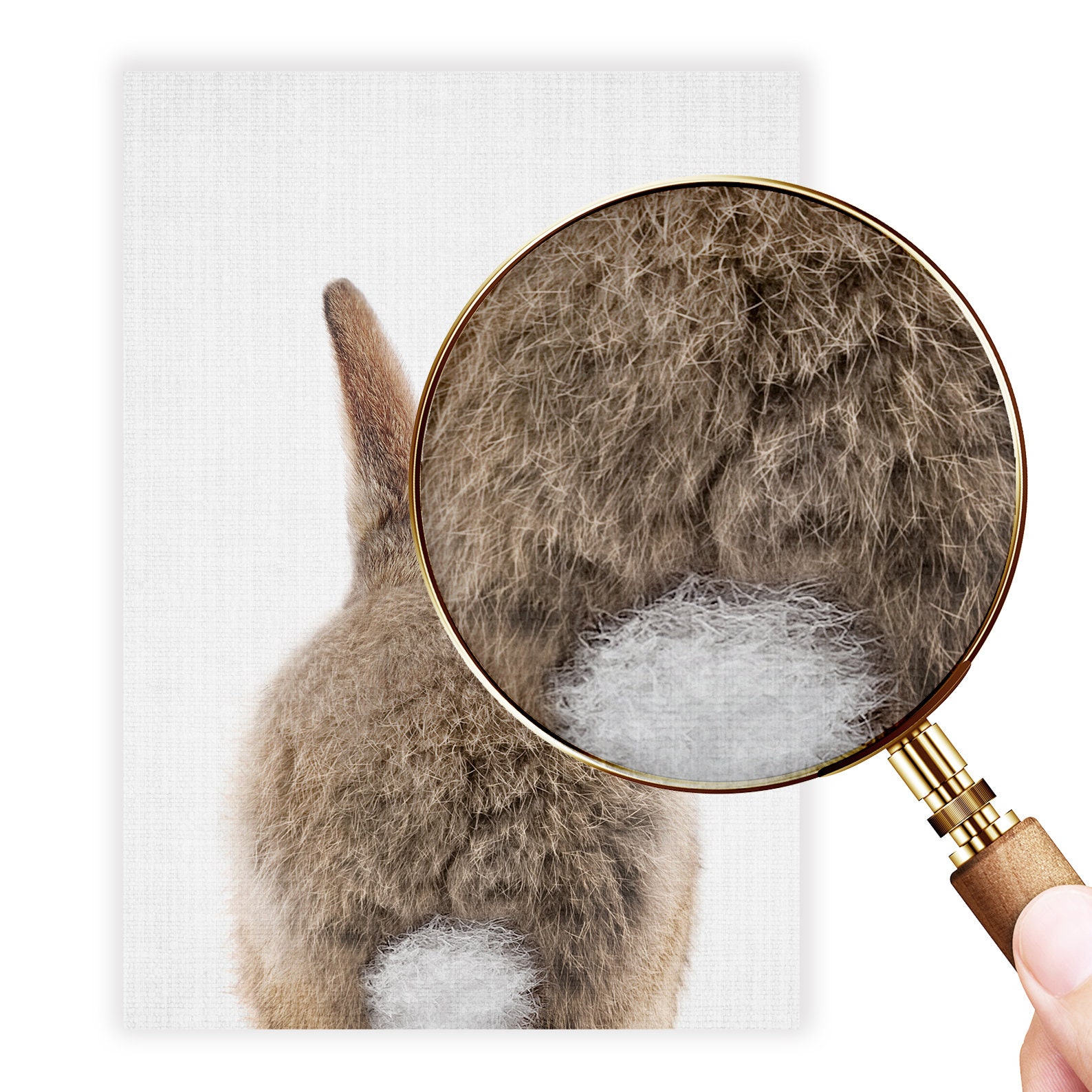 Bunny Rabbit Tail Wall Art Print Woodland Nursery Baby - Etsy