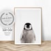 Penguin Print Nursery Wall Art Baby Animal Prints Nursery | Etsy Australia