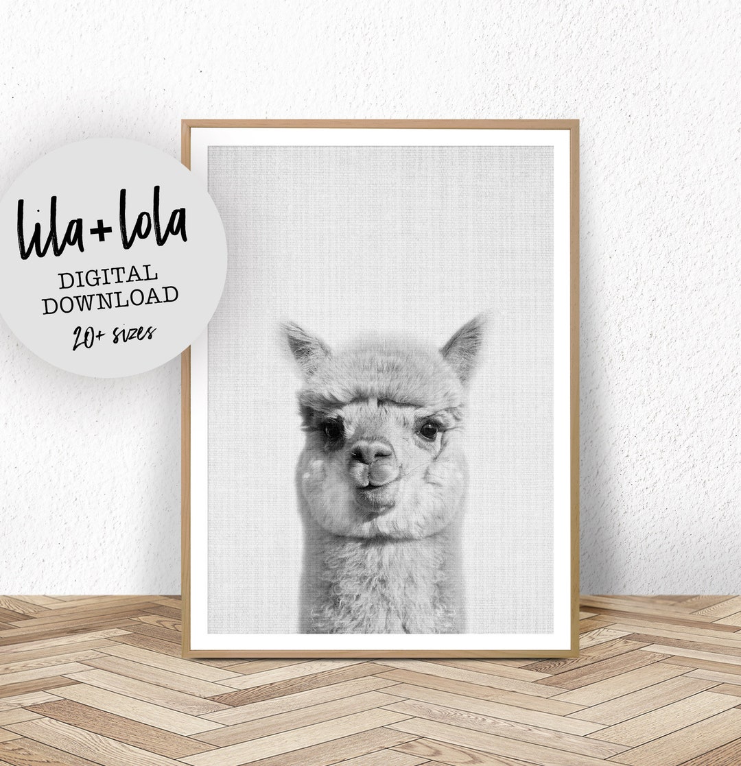 Alpaca Print, Llama Wall Art, Printable Wall Art, Nursery Decor ...