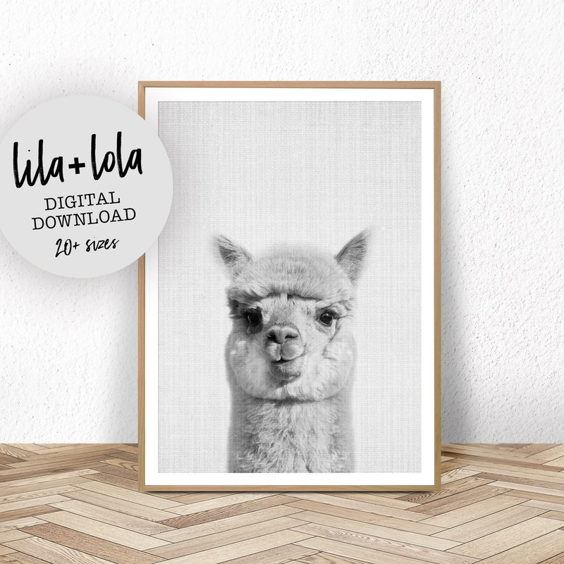 Llama Print - Etsy