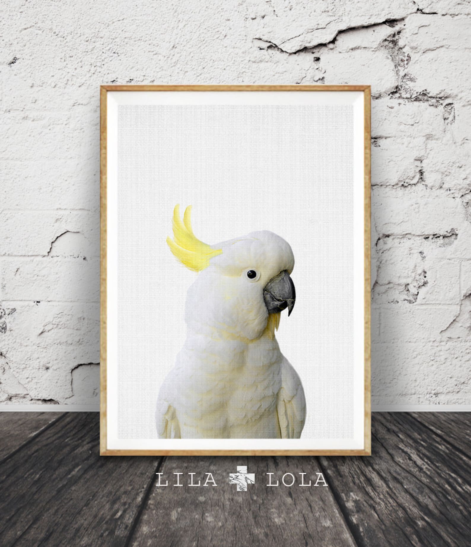 Cockatoo Print Australian Bird Animal Photo Wall Art Colour | Etsy