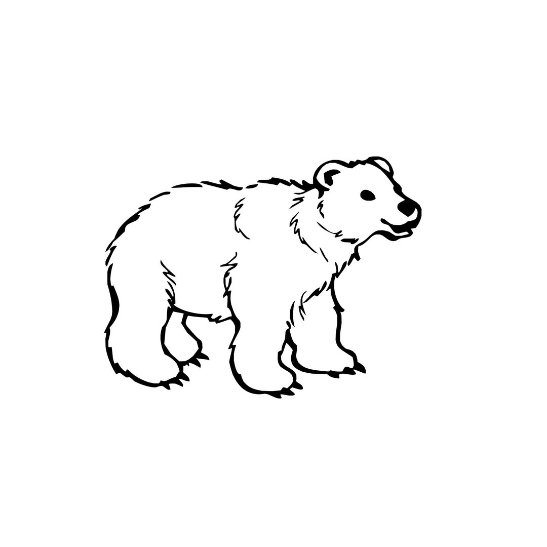 Baby Bear Outline - Etsy