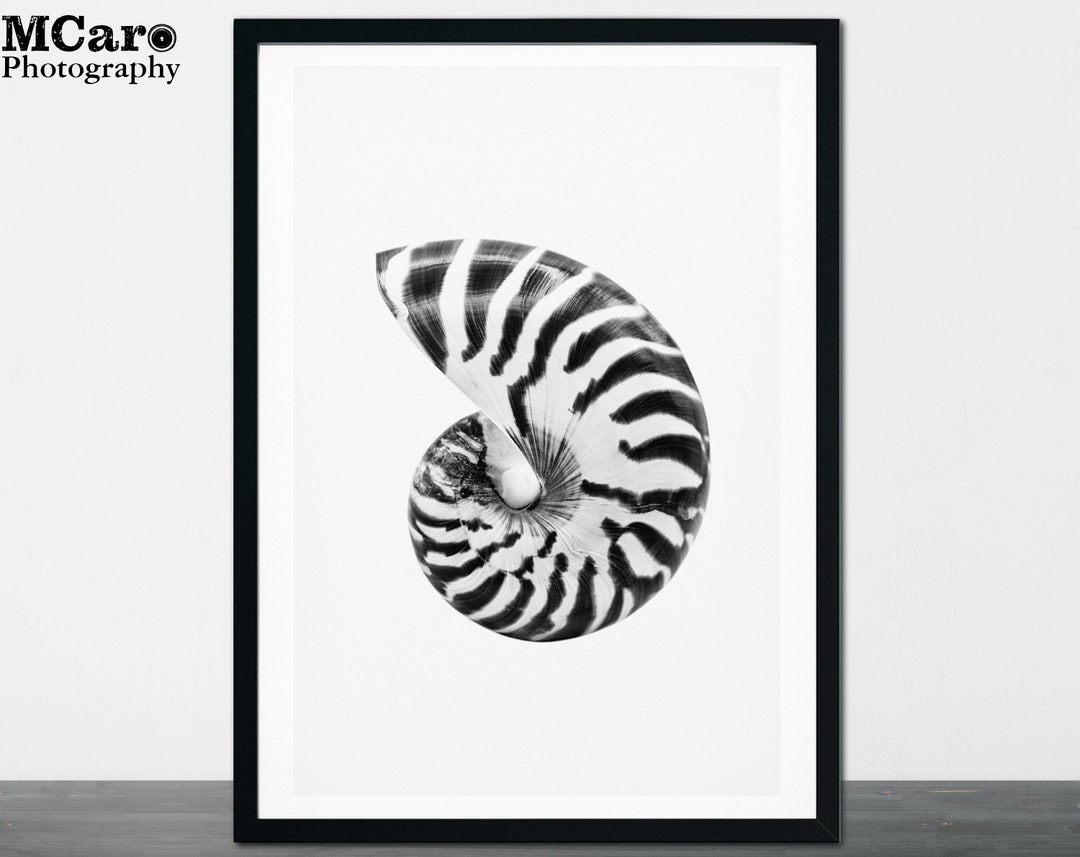 Nautilus Shell Print, Decoración De Playa, Arte Oceánico, Arte Cabaña ...