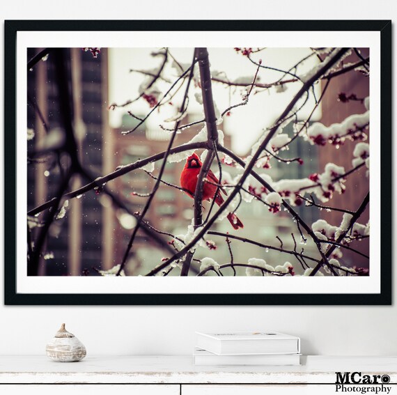 Red Bird Print Cardinal Print New York City Print Winter | Etsy