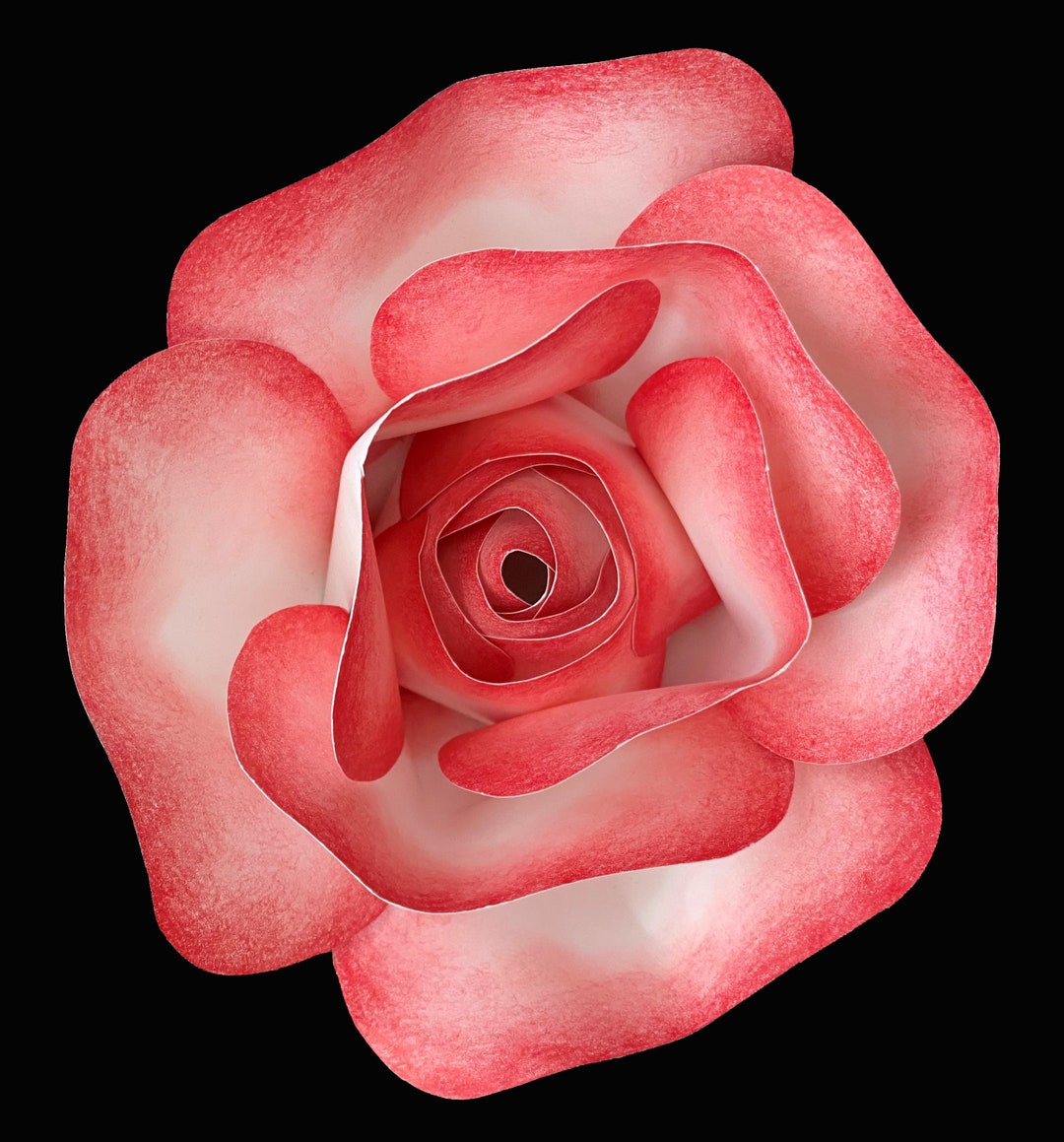 Extra Small Rose Paper Flower With Colored Edges - Style #1 - Etsy