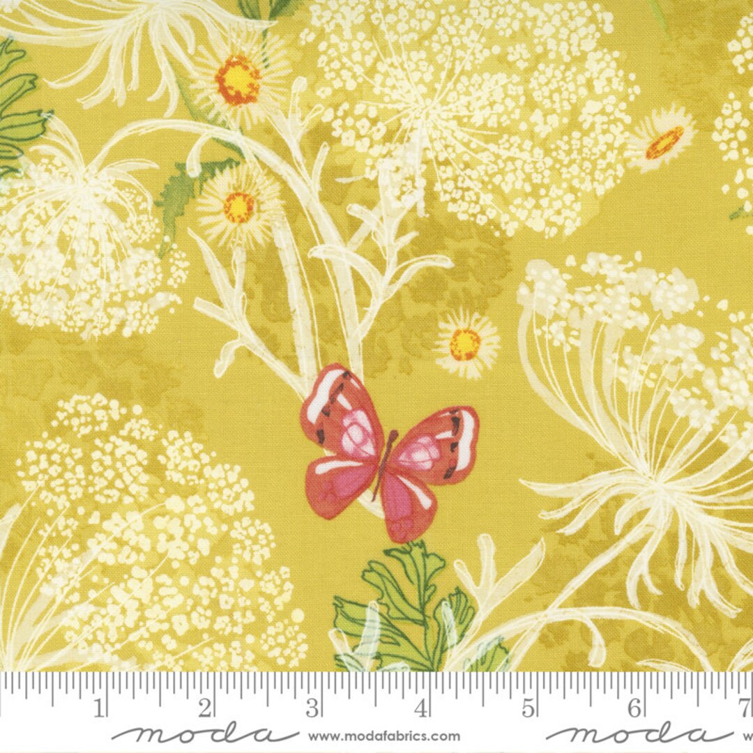 Moda WILD BLOSSOMS Quilt Fabric By-the-1/2-yard by Robin Pickens ...