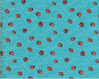 Moda SOLANA Quilt Fabric By-the-1/2-yard by Robin Pickens | Etsy