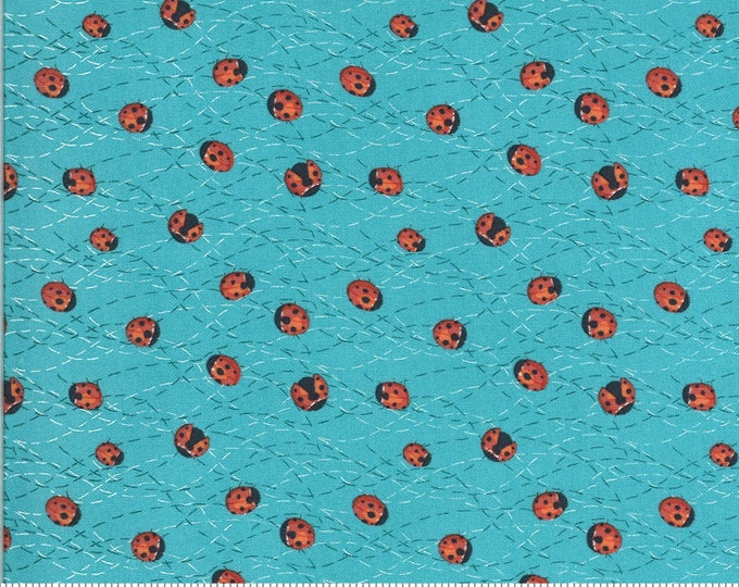 Moda SOLANA Quilt Fabric By-the-1/2-yard by Robin Pickens 48684 17 Pond ...