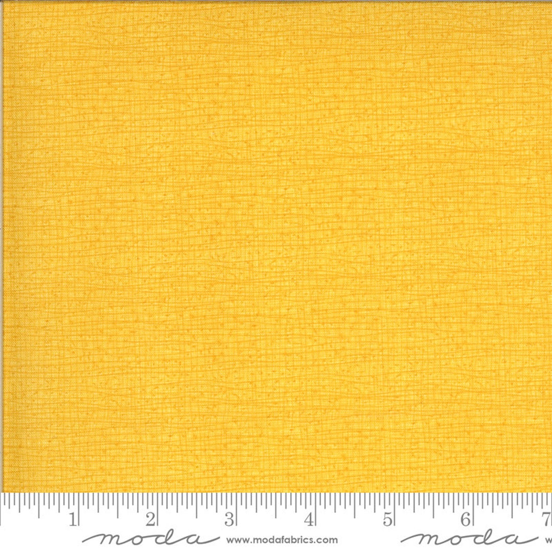 Moda THATCHED Quilt Fabric By-the-1/2-yard by Robin Pickens - 48626 133 ...