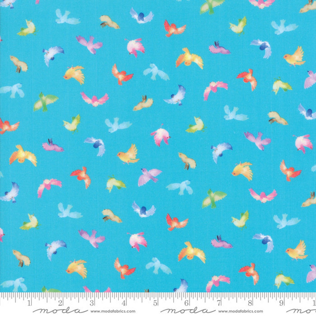 Moda FLIGHTS OF FANCY 2019 Quilt Fabric By-the-1/2-yard by Momo - 33463 ...