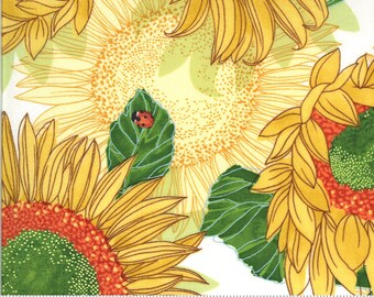 Moda SOLANA Quilt Fabric By-the-1/2-yard by Robin Pickens | Etsy