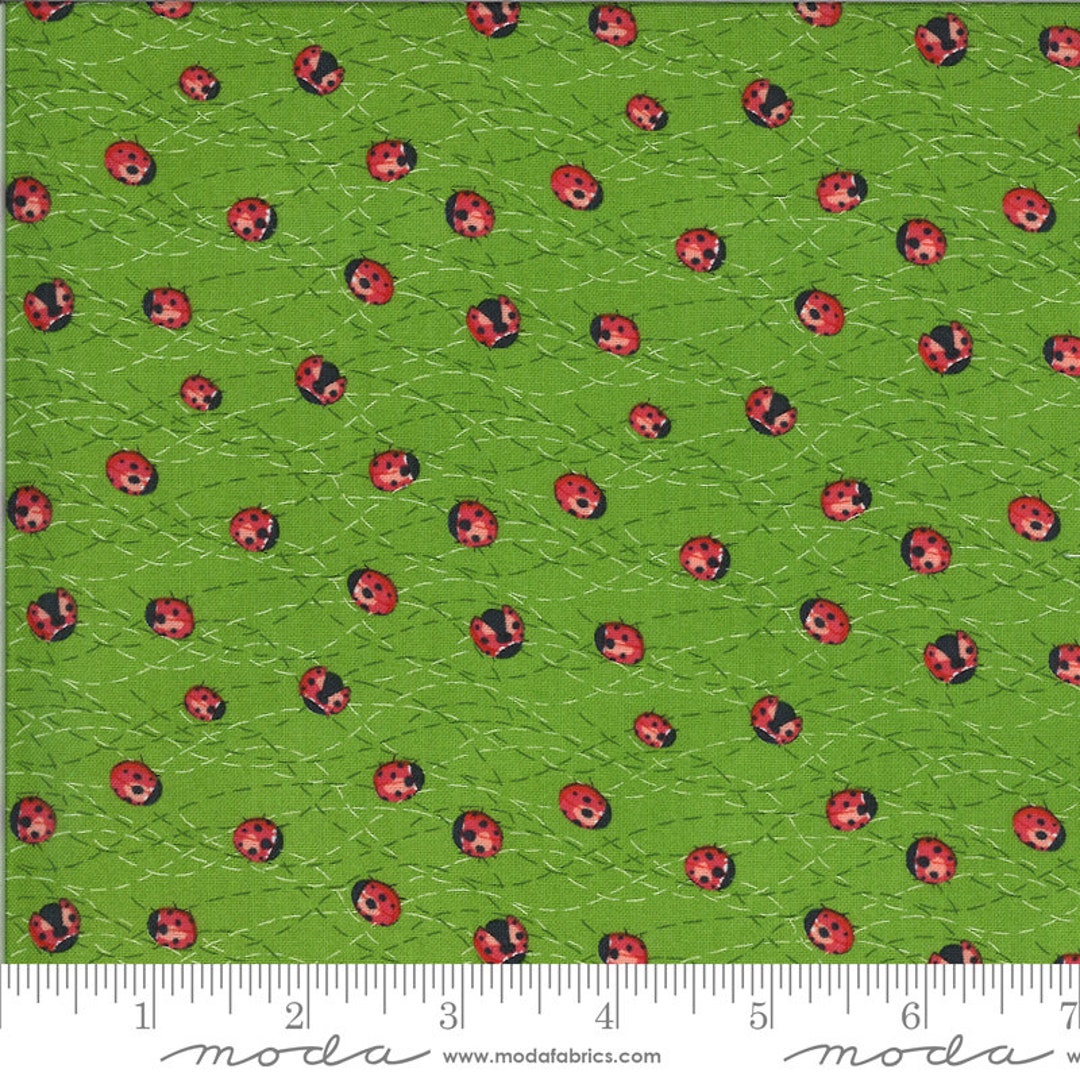 Moda SOLANA Quilt Fabric By-the-1/2-yard by Robin Pickens - 48684 15 ...