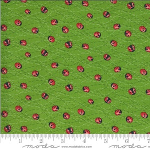 Moda SOLANA Quilt Fabric By-the-1/2-yard by Robin Pickens - 48684 15 ...