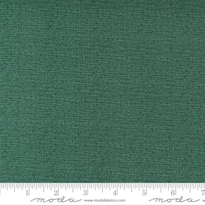 Moda THATCHED NEW COLORS Quilt Fabric By-the-1/2-yard by Robin Pickens ...