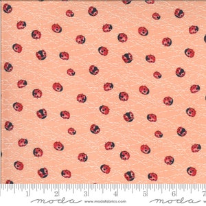 Moda SOLANA Quilt Fabric By-the-1/2-yard by Robin Pickens - 48684 19 ...