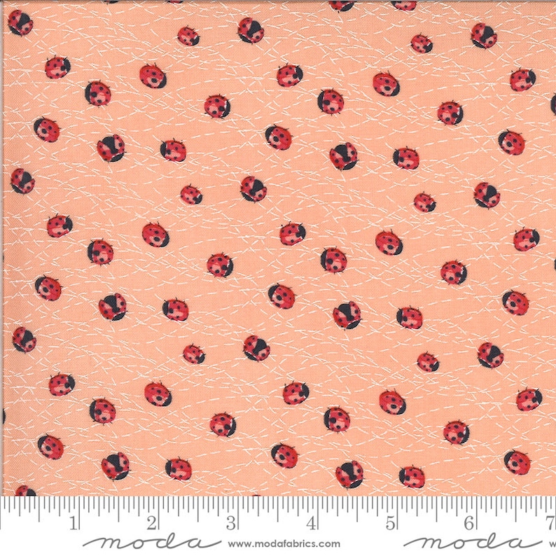 Moda SOLANA Quilt Fabric By-the-1/2-yard by Robin Pickens - 48684 19 ...