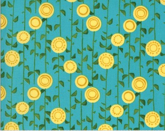 Moda SOLANA Quilt Fabric By-the-1/2-yard by Robin Pickens | Etsy