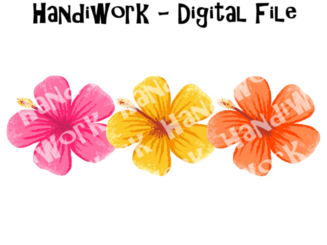 Hibiscus Trio Png Design, Colorful Hibiscus Flower Sublimation ...