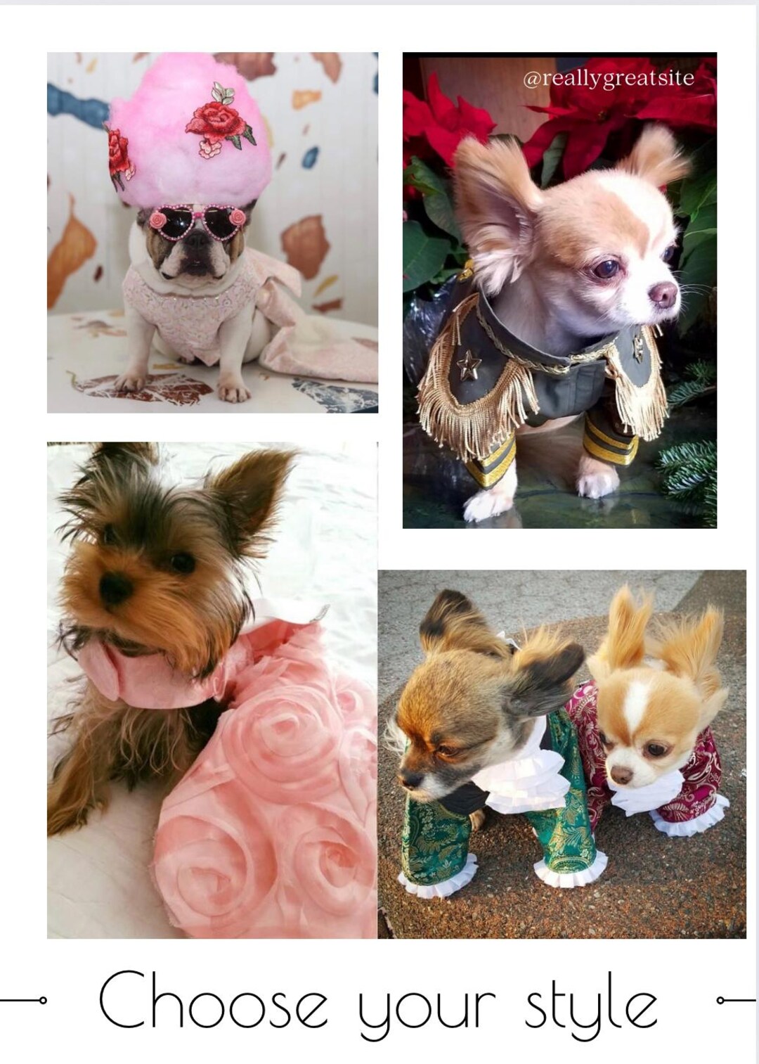Custom Dog Costumes - Etsy