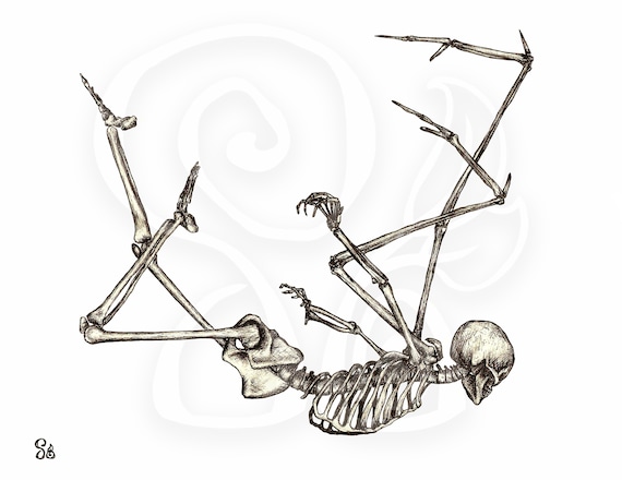 Angel Anatomy giclée Print | Etsy