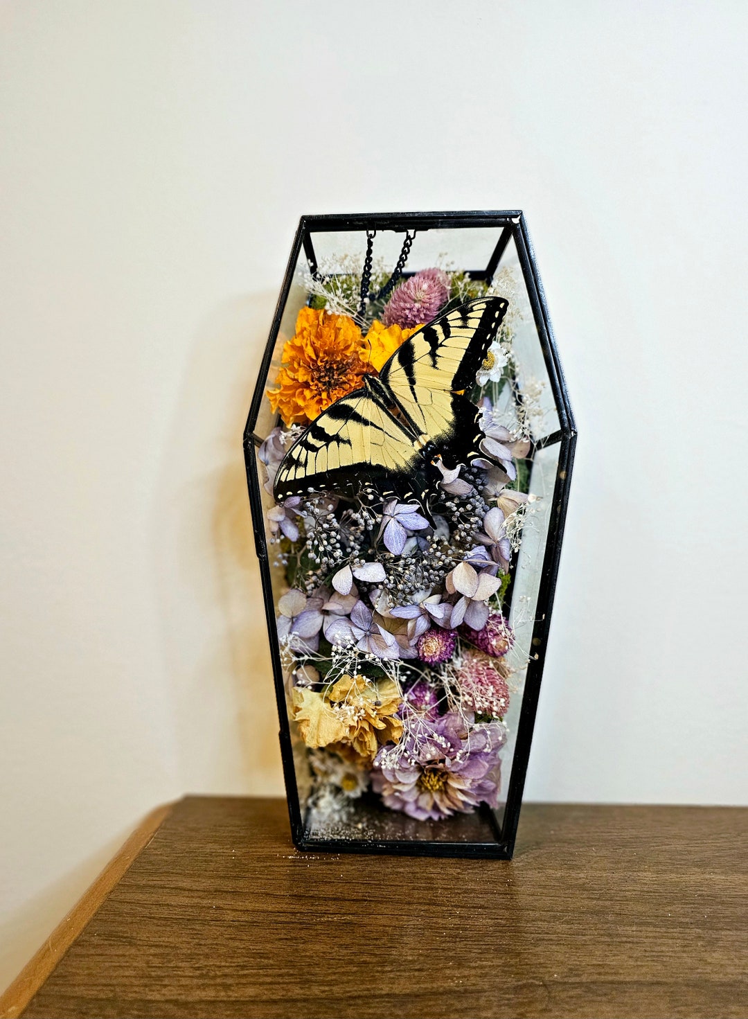 Ethereal Large Glass Coffin Centerpiece With Real Butterfly and Dried ...