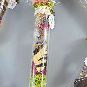 Winged Wishes Glass Vial Butterfly Magic Ethically Sourced Real ...