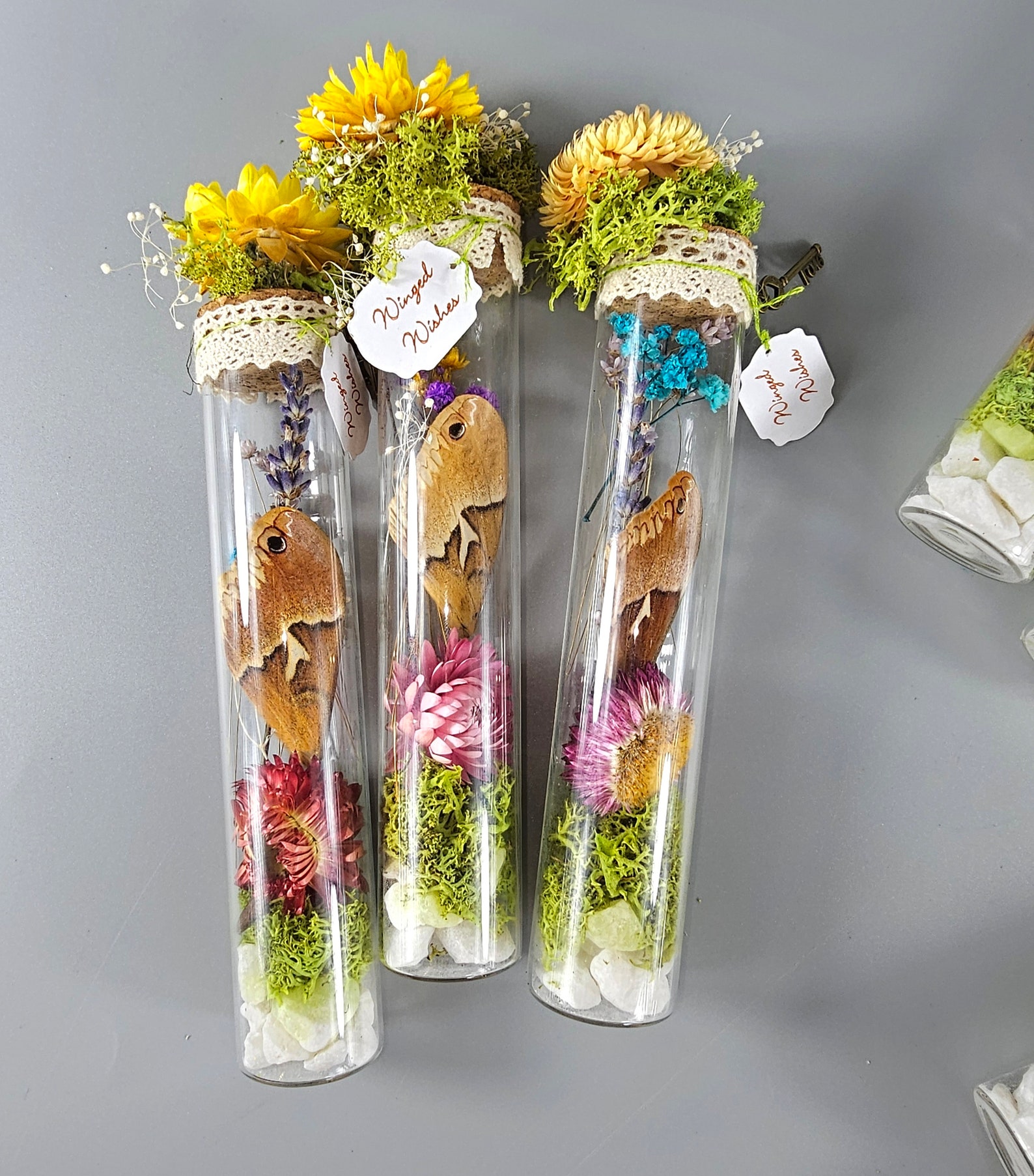 Winged Wishes Glass Vial Butterfly Magic Ethically Sourced Real ...