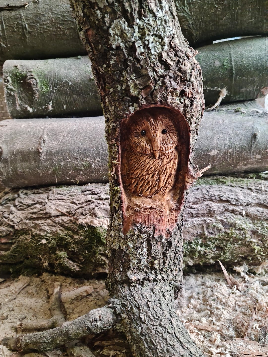 Super Cute Owl in Nook Chainsaw and Hand Tool Carving - Etsy