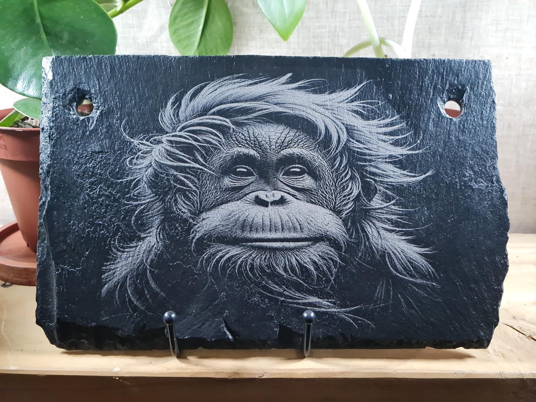 Cheeky Windswept Monkey. Engraved Reclaimed Welsh Slate Plaque ...