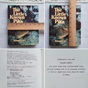 1977 1st Edition the Little Known Pika - Etsy