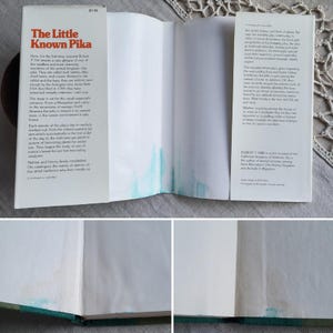 1977 1st Edition the Little Known Pika - Etsy