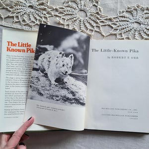 1977 1st Edition the Little Known Pika - Etsy