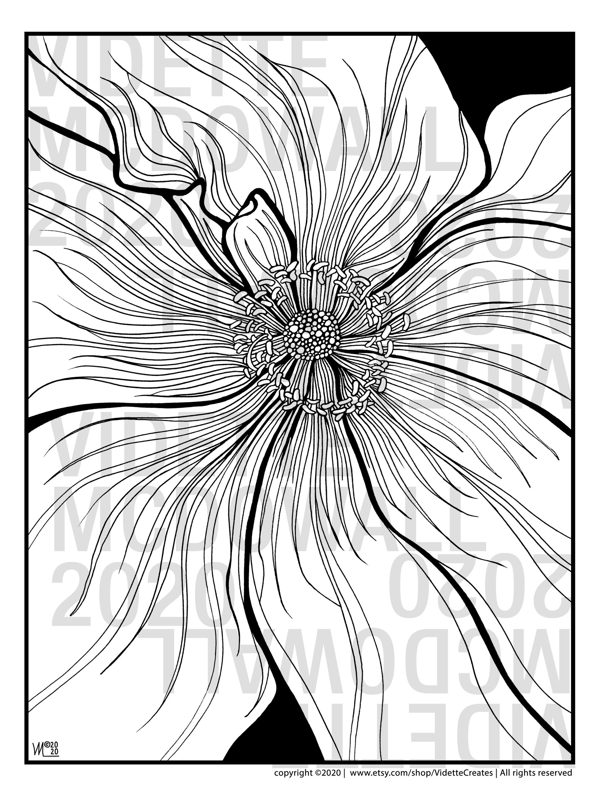 Flowing Flower: A Printable Coloring Page - Etsy