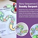 Sneaky Serpent Story Sequence Craft | Adam & Eve Bible Activity (PDF ...