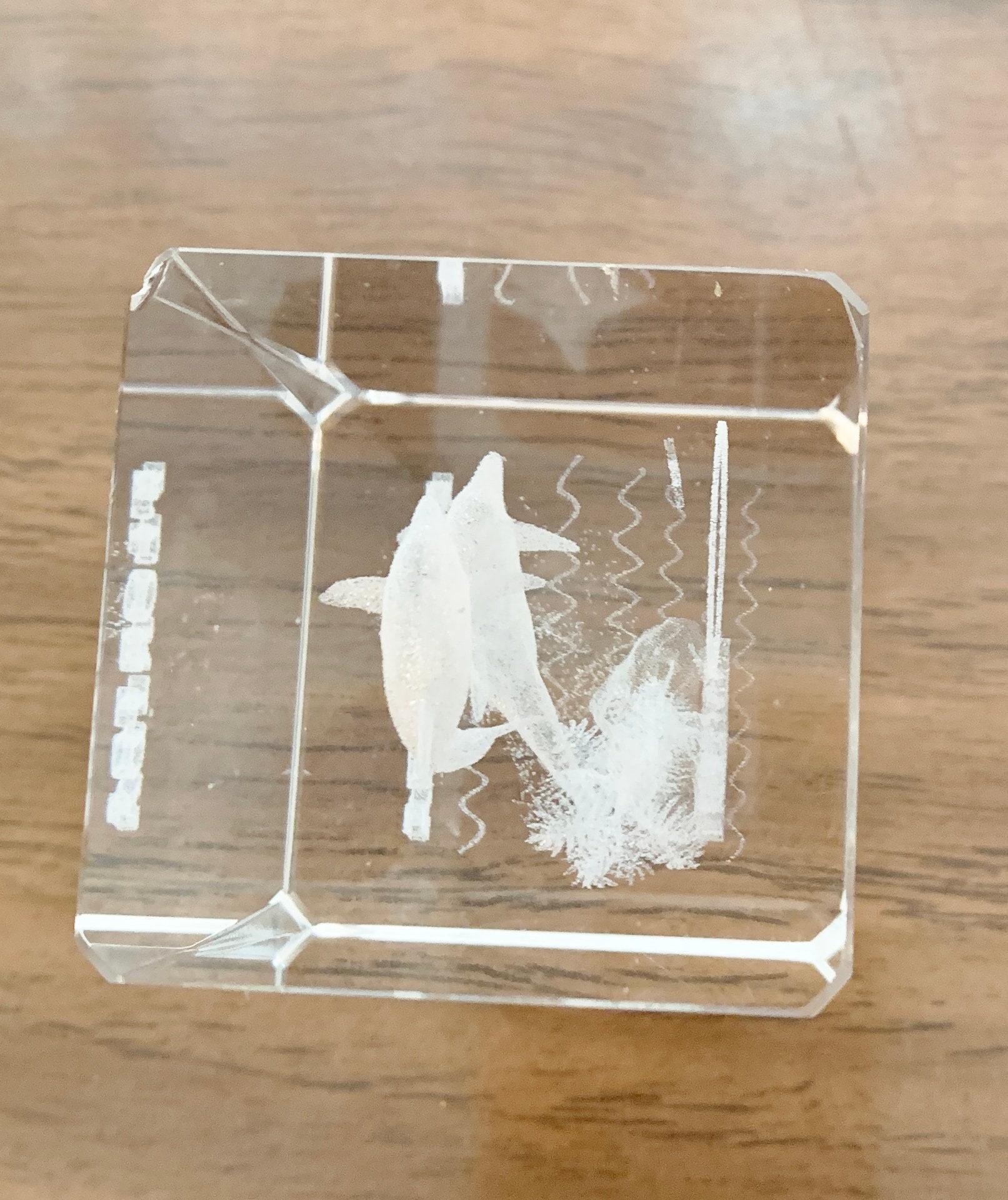 Vintage Laser Etched Crystal Glass Dolphin Cube Paperweight From ...