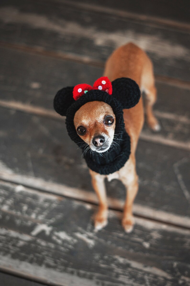 Mickey Mouse dog's hood Minnie Mouse dog hood Dog hat | Etsy