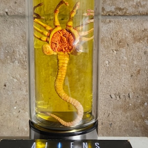 Alien Jar Xenomorph Specimen Facehugger Embryo Glass Jar Movie Prop ...
