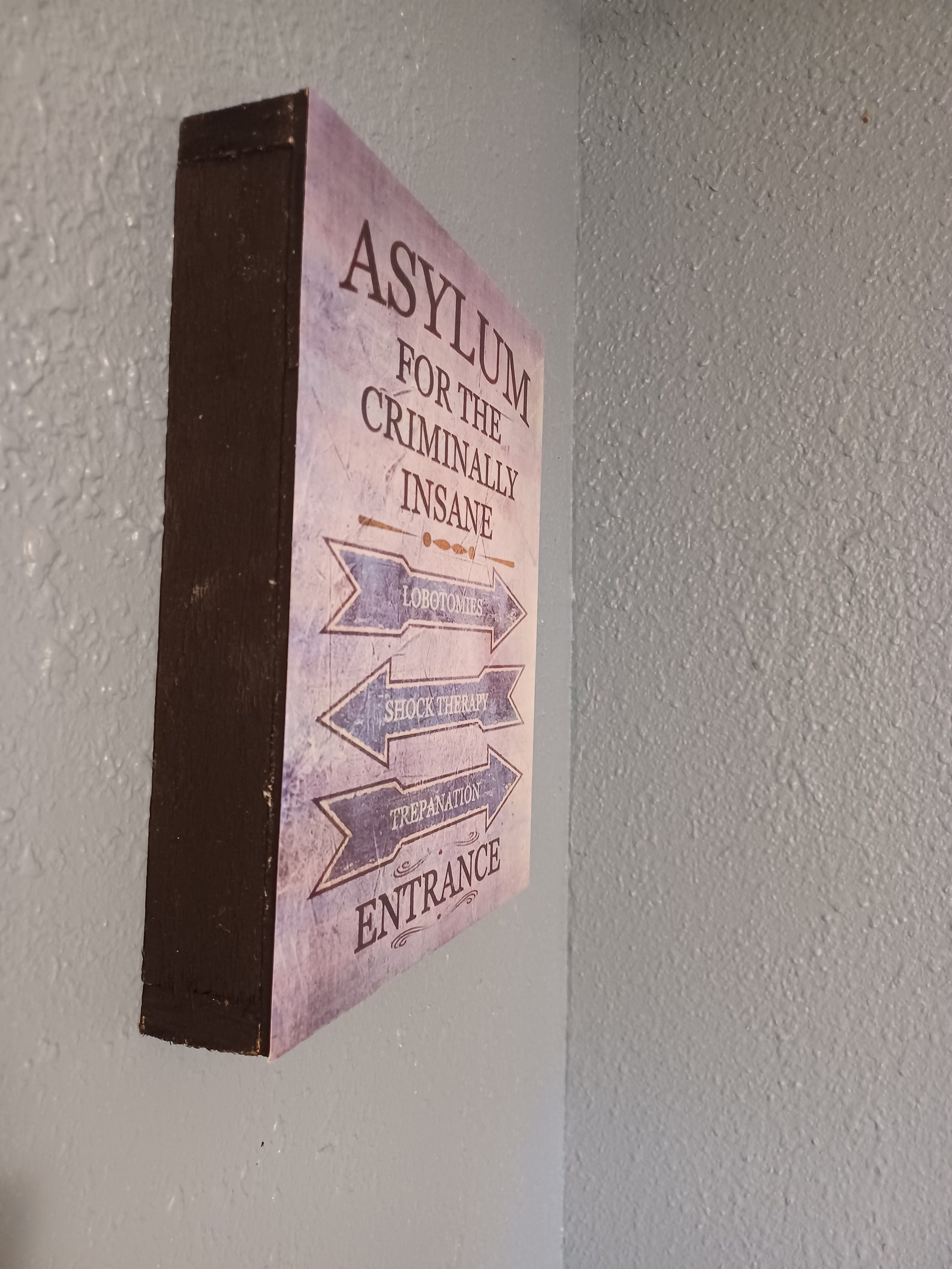 Asylum for the Criminally Insane Sign. - Etsy
