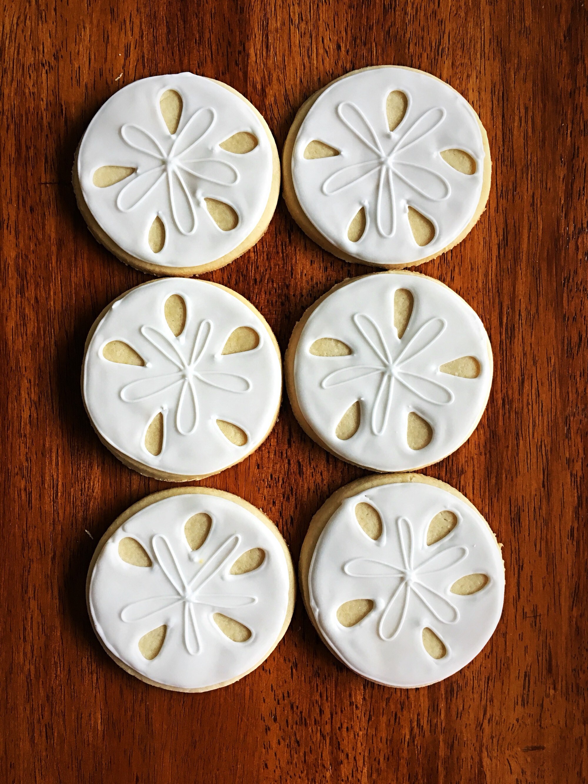 Sand Dollar Decorated Cookies