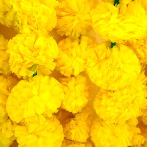40 Pcs Free Express Shipping BULK Yellow Marigold Flower String ...