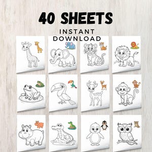 Kids Animal Coloring Pages 40 Colouring Pages in Book. Digital Download ...