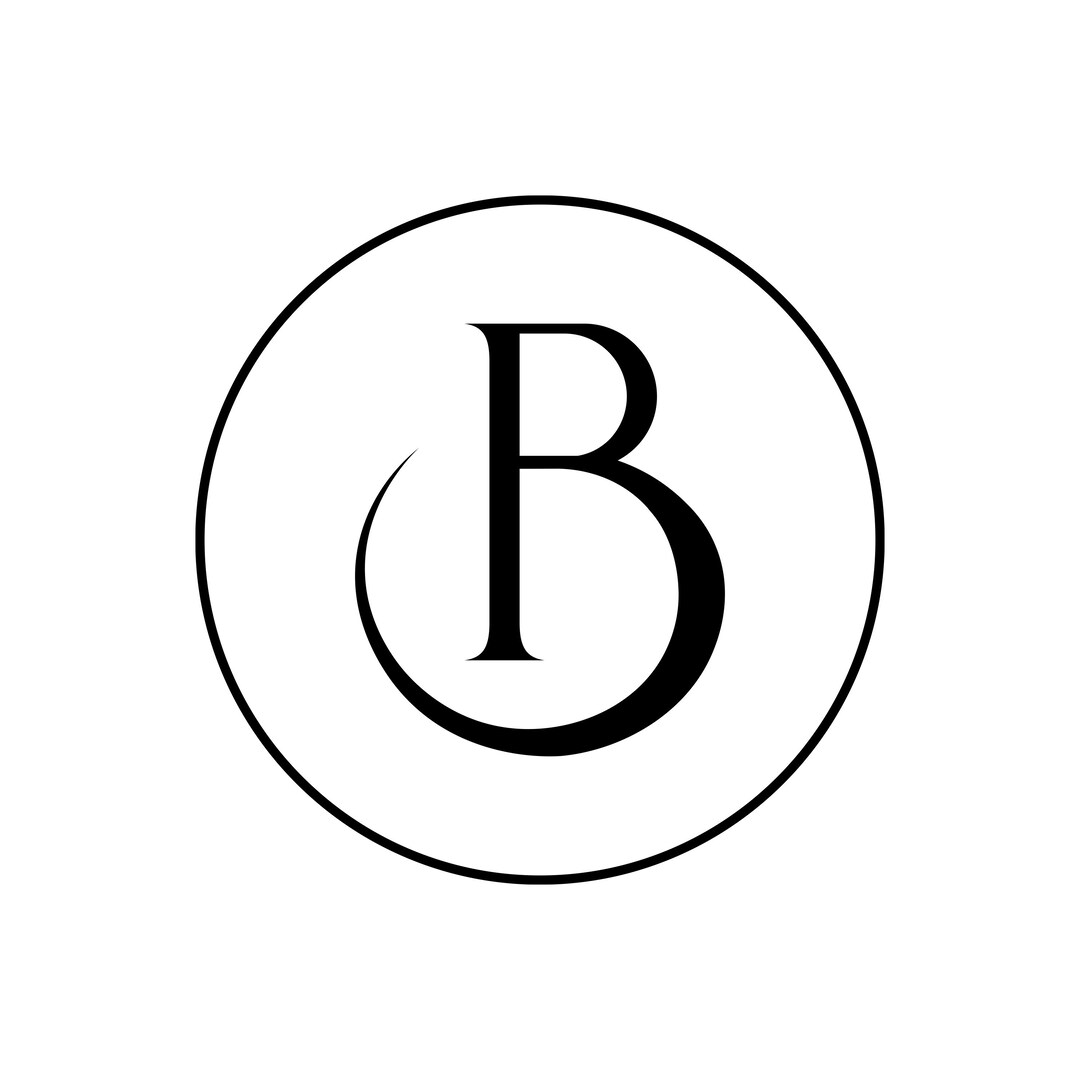 Custom Order - Liza - Christopher Farr L&F Roman Blinds - Etsy