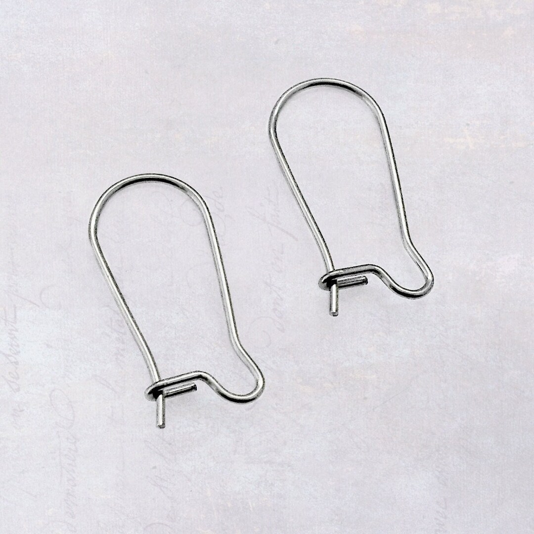 15 X Pairs Stainless Steel Kidney Ear Wires 20mm Earring Hooks ...