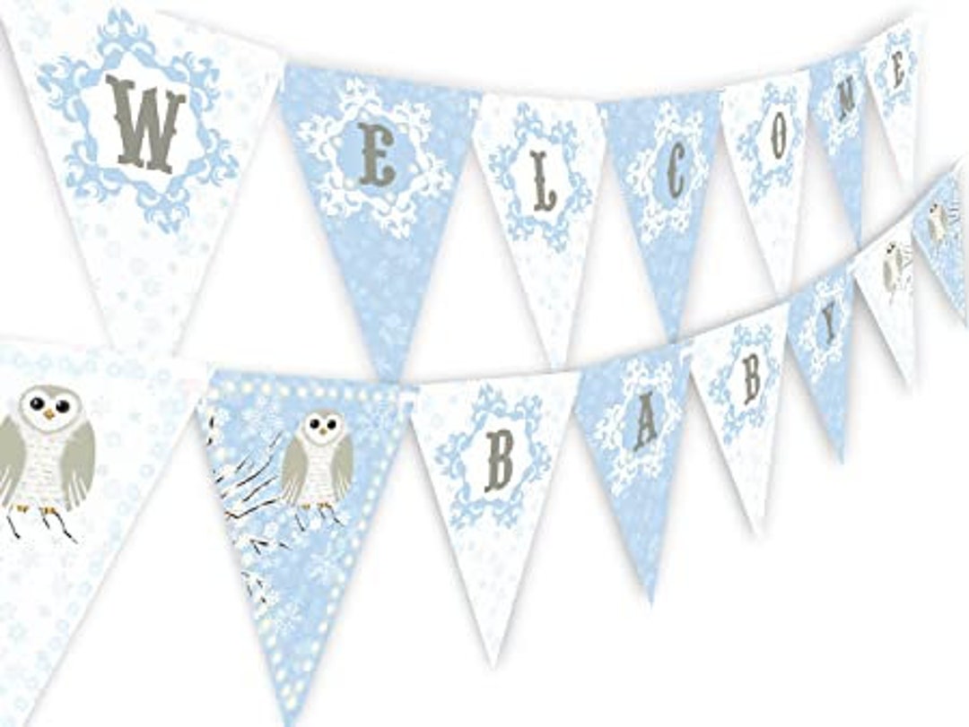 Snowy Owl Blue Welcome Baby Banner - Winter Baby Shower Supplies ...