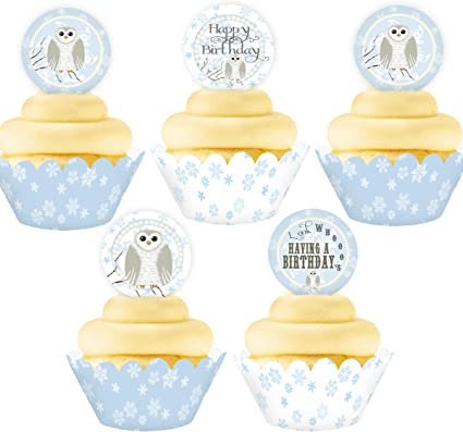 Snowy Owl Birthday Cupcake Toppers and Cupcake Wrapper - 24 Cupcake ...