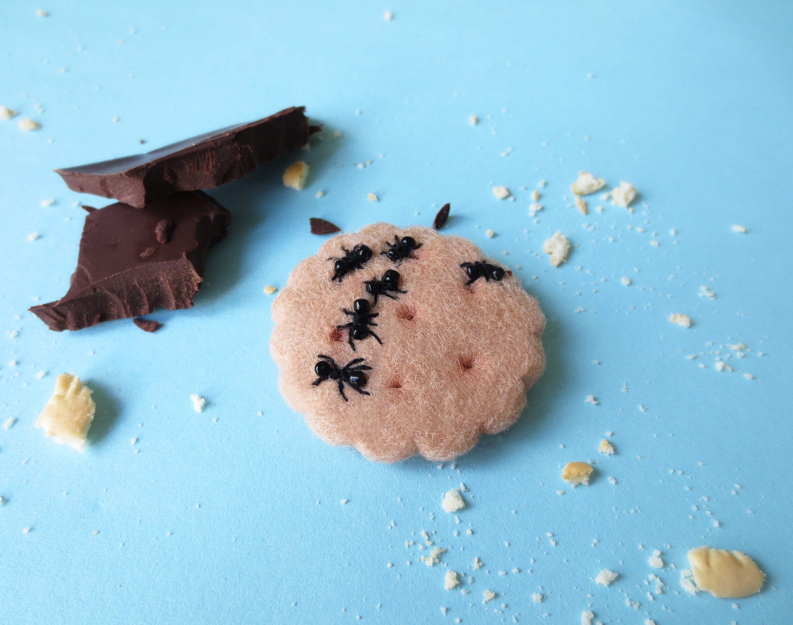 Cookie Brooch, Cookie With Ants, Biscuit, Needle Felted Brooch, Pastry ...