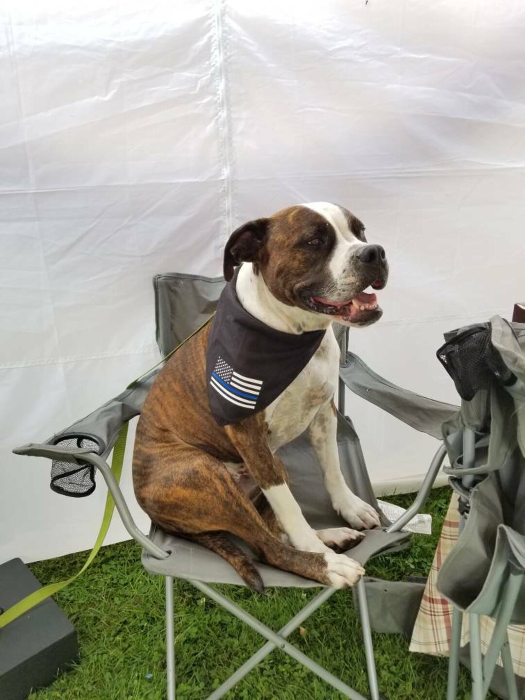 Blue Line Dog Bandana K9 Bandana Doggy Bandana - Law Enforcement - Back ...