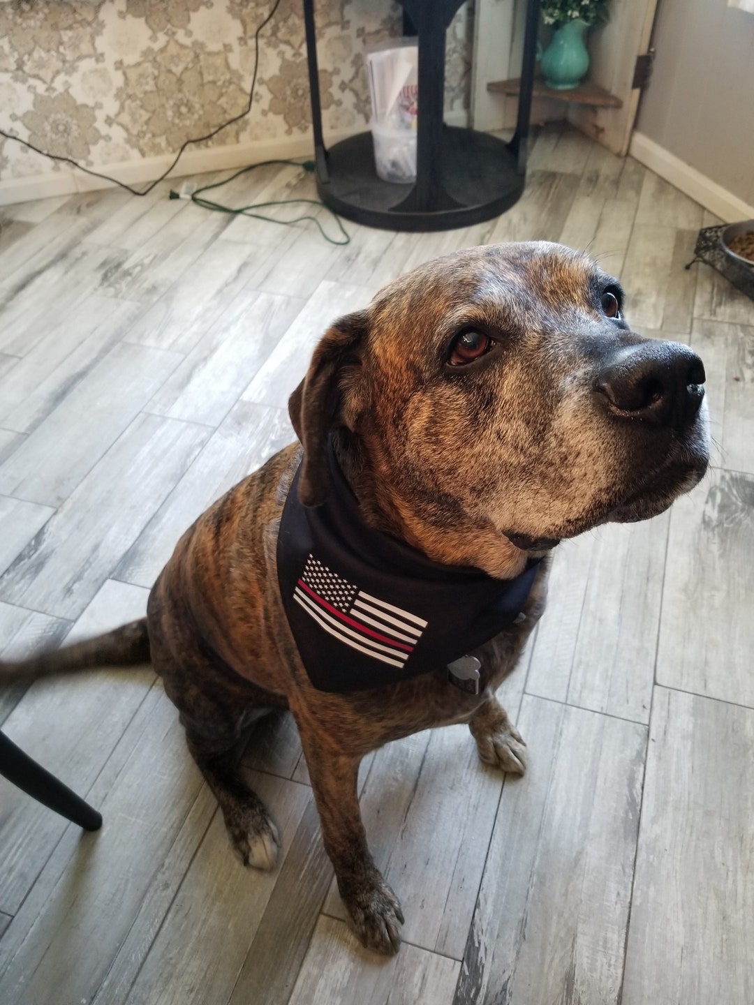 Red Line Dog Bandana K9 Bandana Doggy Bandana - Firefighters - Military ...